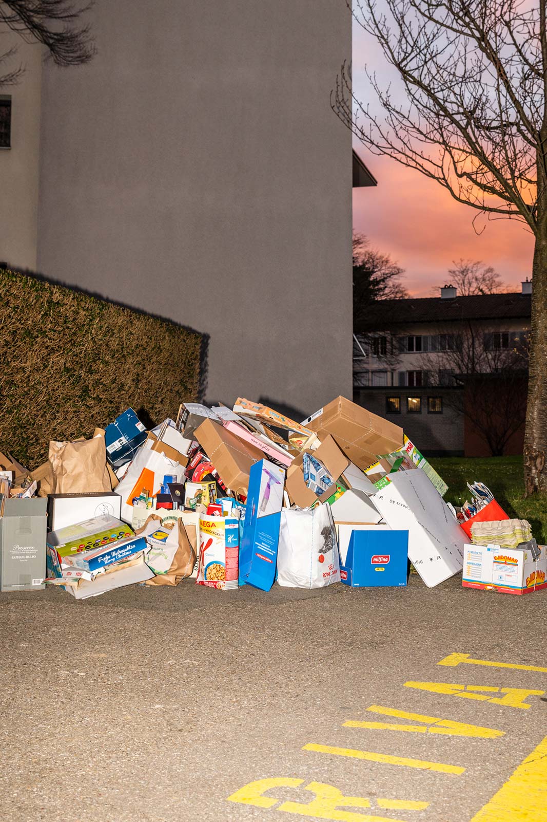 Karton – Photography Désirée Good